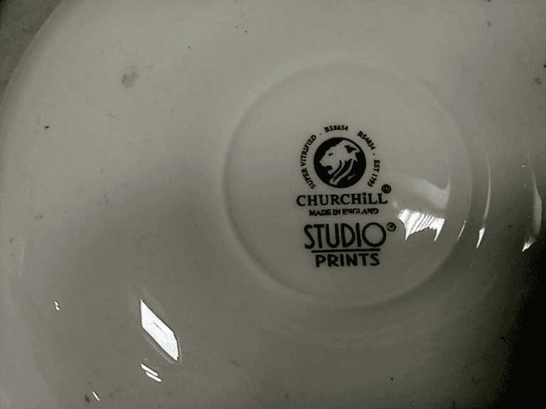 Churchill Studio Prints, Stone Evolve Coupe Plates, 5 Pieces, Pearl ...